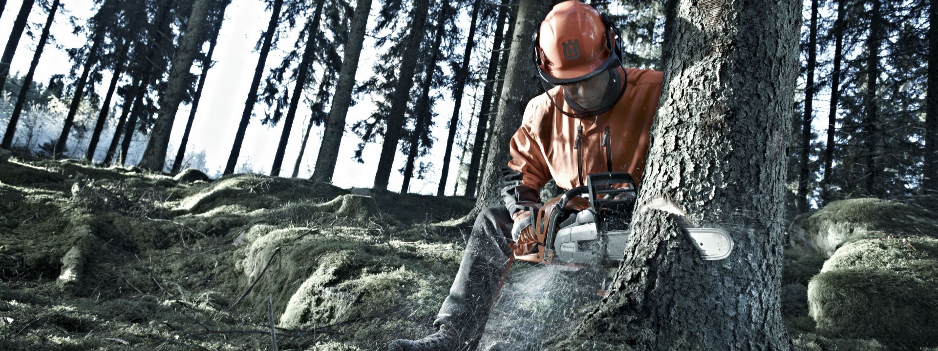 Home Buffalo Power Equipment East Amherst, NY (716) 688-7127