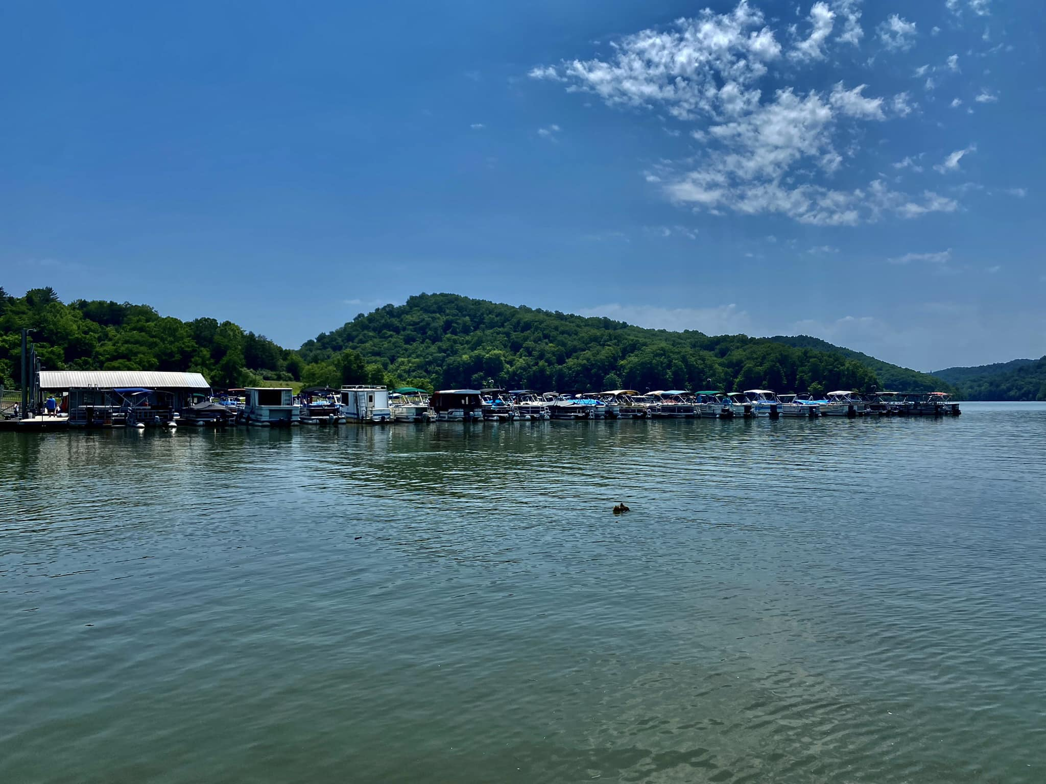 Beech Fork Lake Marina Boat Rentals The Great Outdoors Marine Lavalette ...