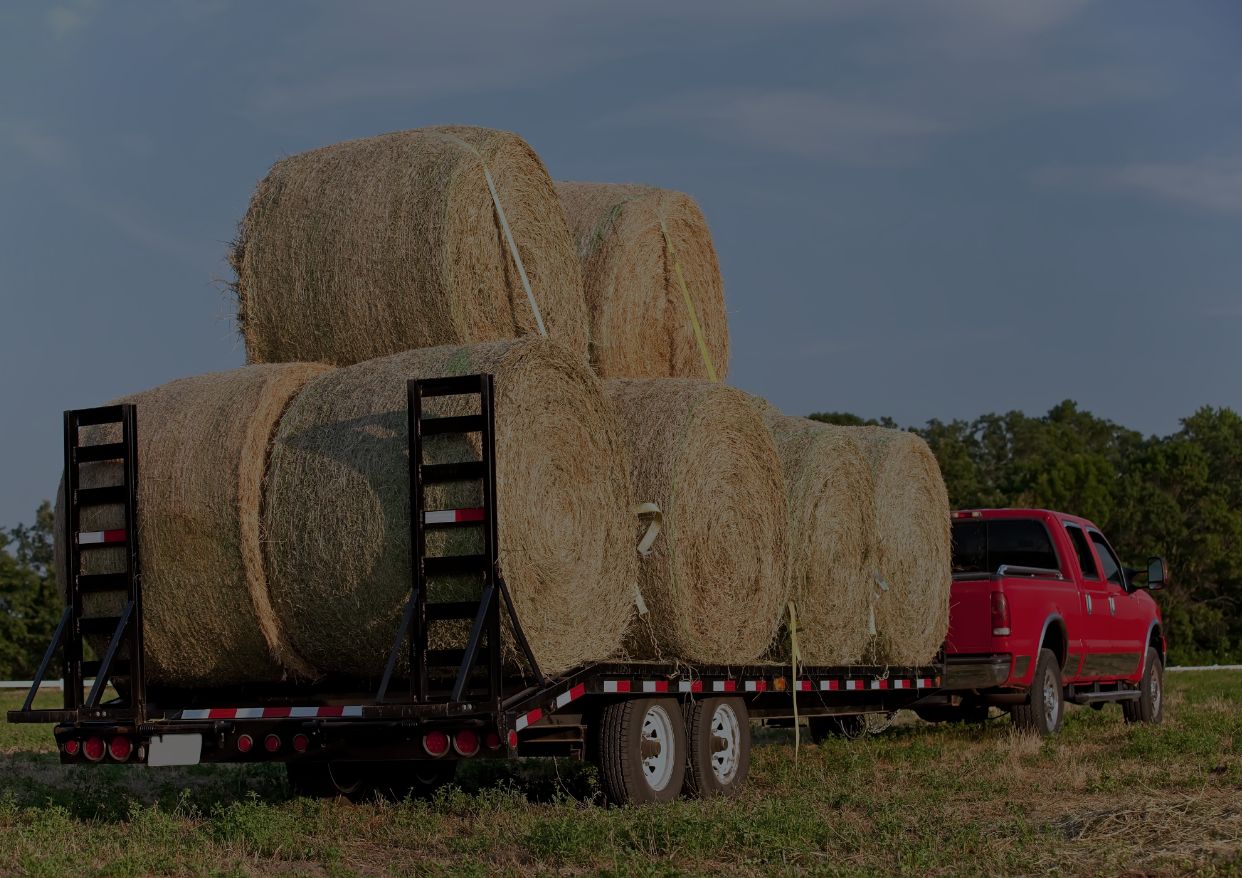Home Clovis Lawn & Power Equipment Clovis, NM (575) 309-8986